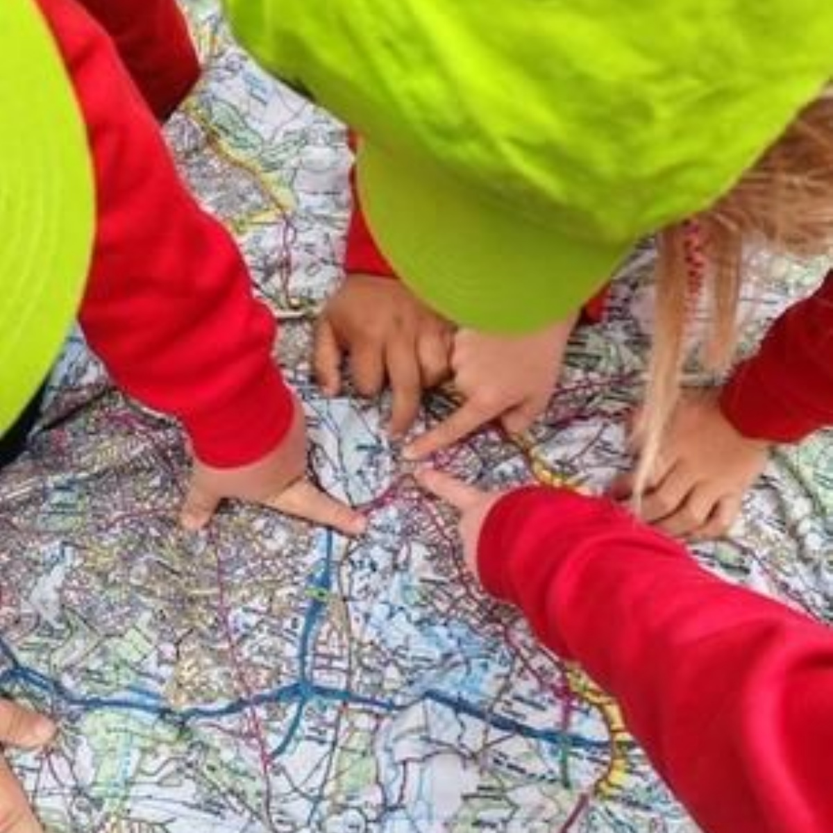 Eling Infant School and Nursery - School Trip to the New Forest!